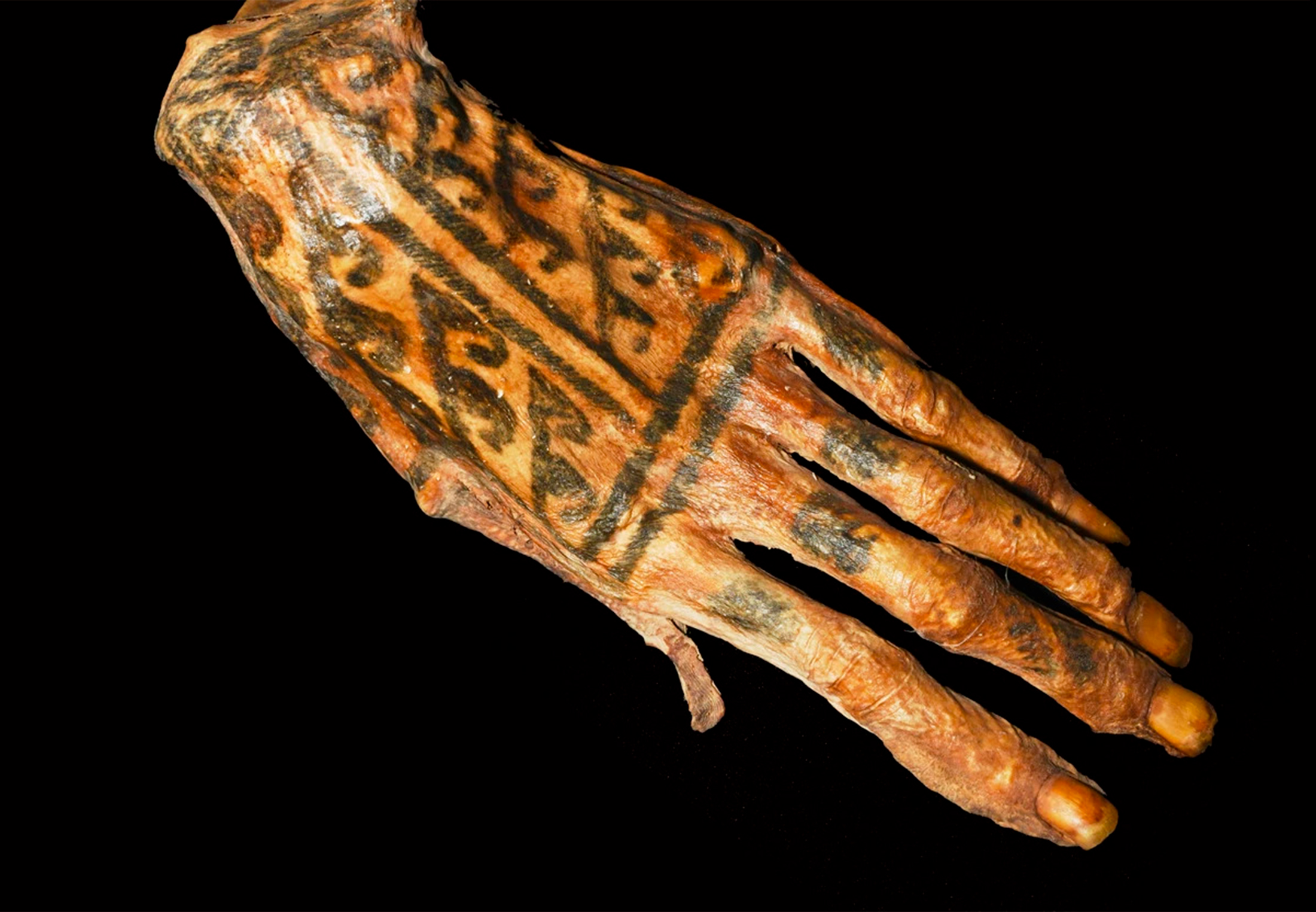 Laser afslører skjulte tatoveringer på 1.200 år gamle mumier ...