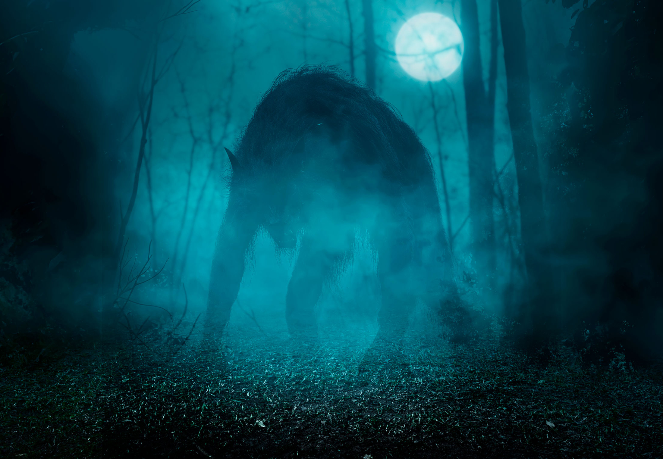 Vad är en skinwalker? | varldenshistoria.se