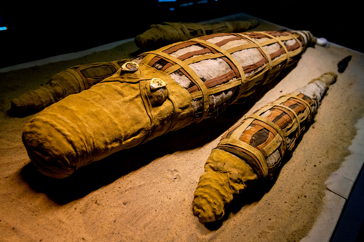 Mummies: De poort van de Egyptenaren naar het eeuwige leven ...