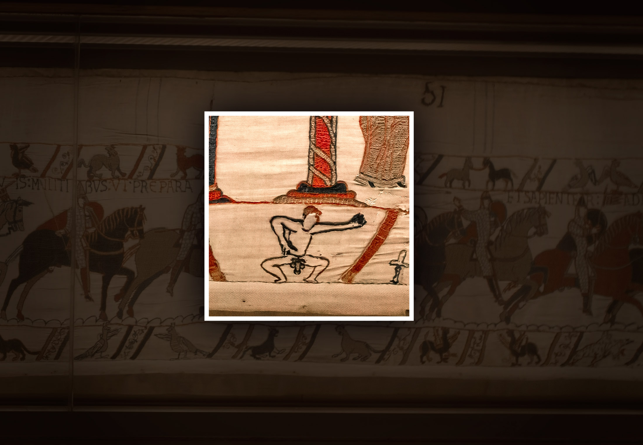 Het tapijt van Bayeux: De geschiedenis van Engeland ontrafeld ...
