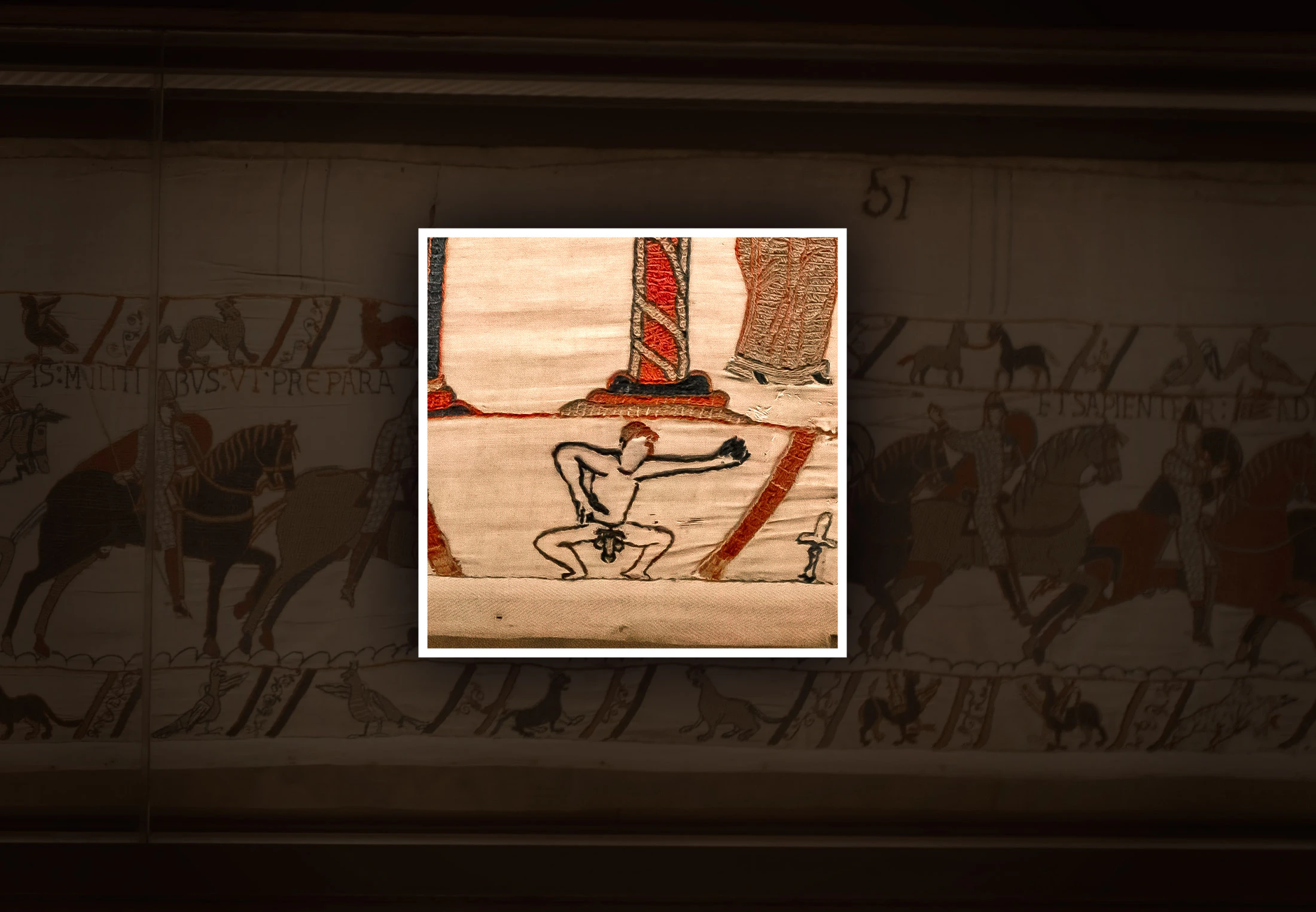Het tapijt van Bayeux: De geschiedenis van Engeland ontrafeld ...