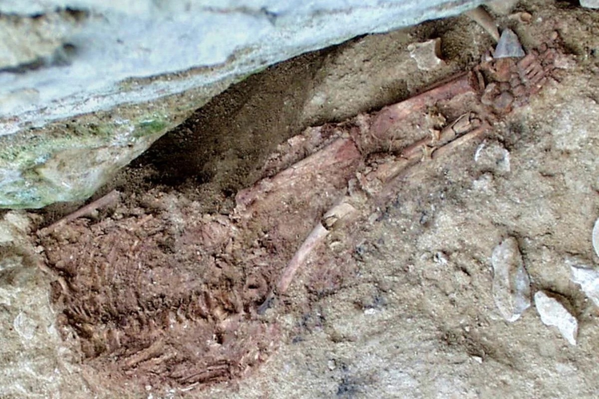 Mystiskt stenåldersbarn med neandertalargener har äntligen daterats ...