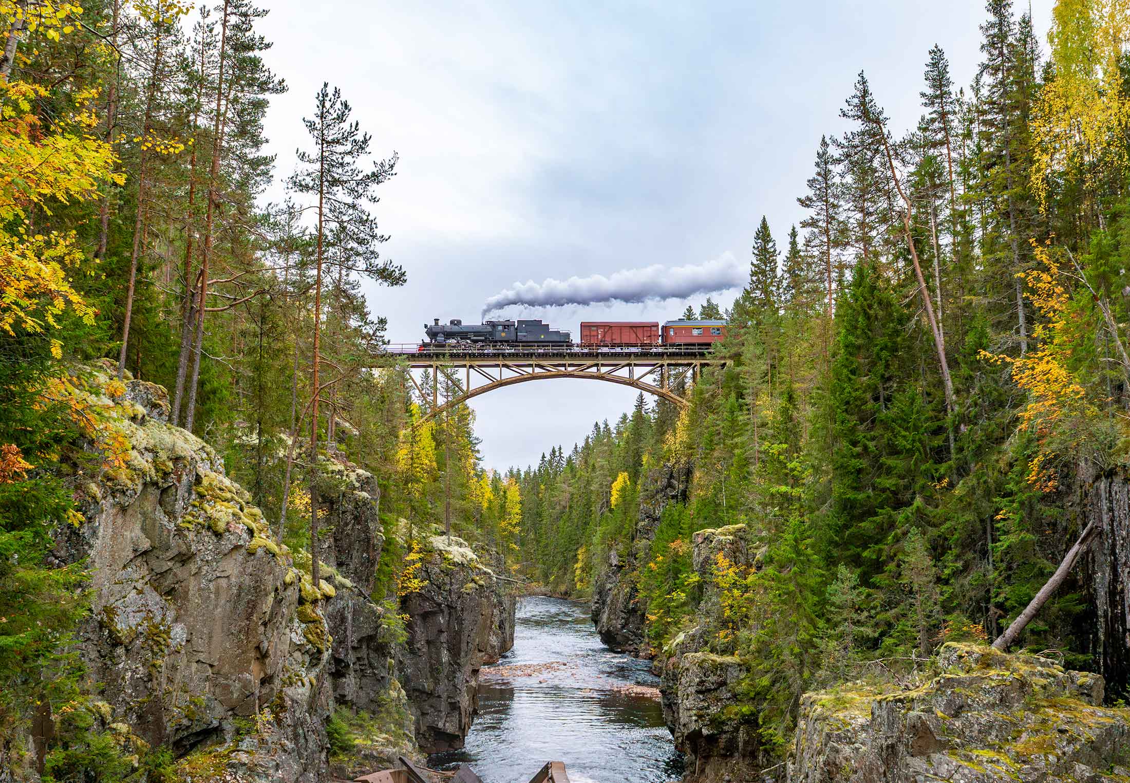 Inlandsbanan: Sveriges livlina blev turisternas favorit ...