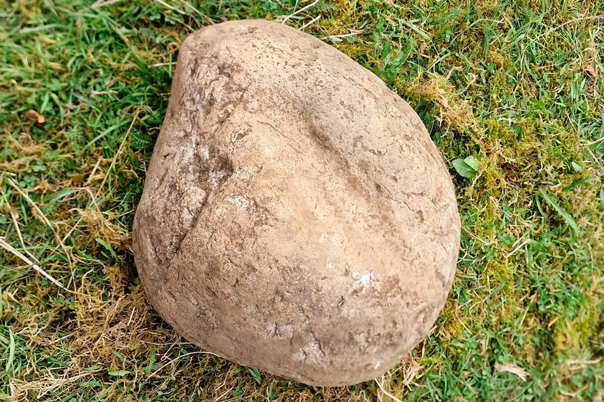 Viikinkiaika: Tapaa viikingit – Pohjolan soturit | historianet.fi