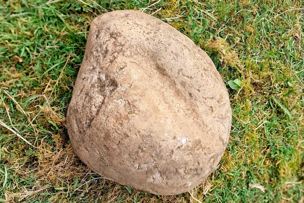 Viikinkiaika: Tapaa viikingit – Pohjolan soturit | historianet.fi