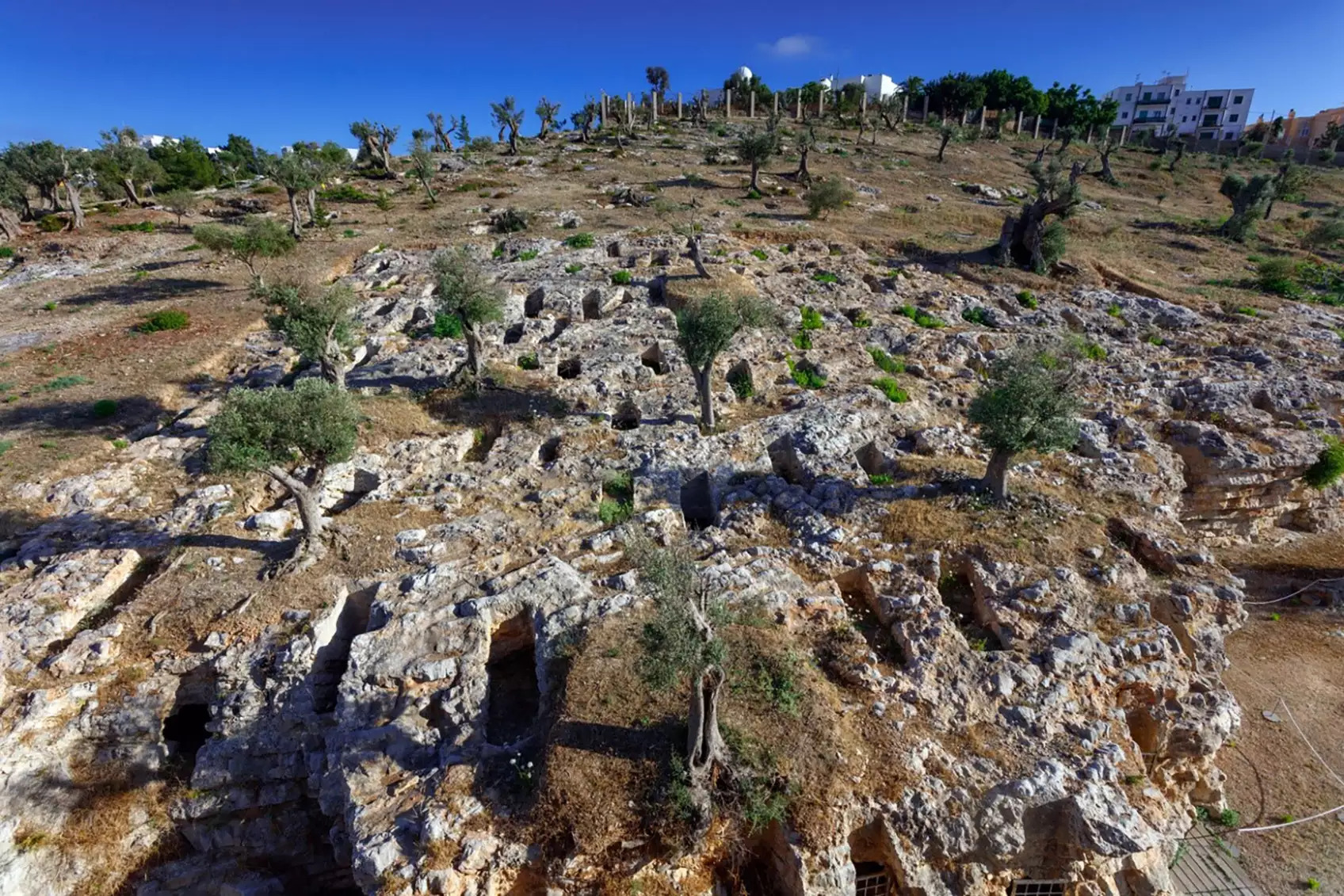 Verrassend onderzoek: Inwoners van Carthago stamden niet alleen af van ...
