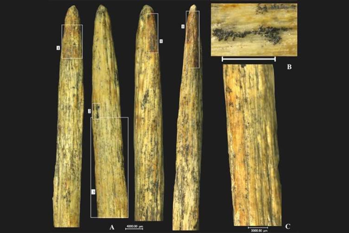 Hätkähdyttävä löytö: Euroopan vanhin keihäänkärki mullistaa ...