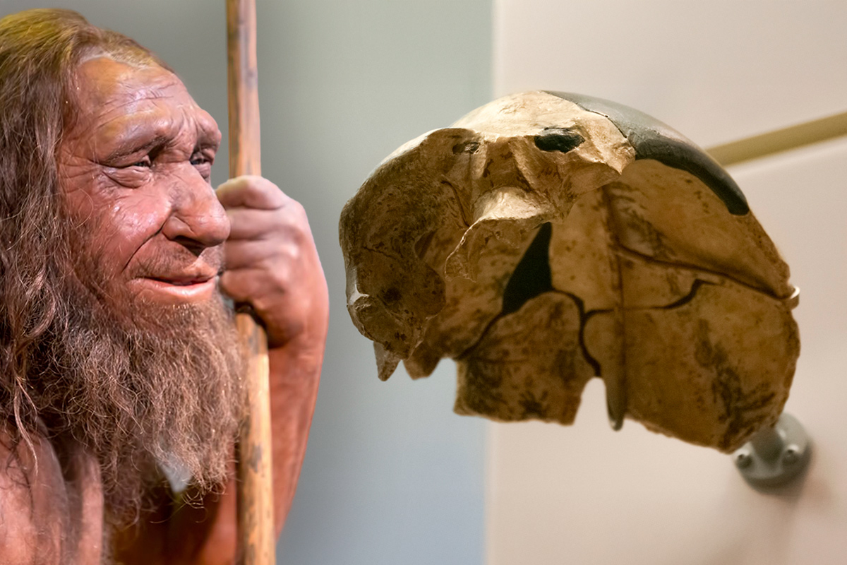 Kivikausi | historianet.fi