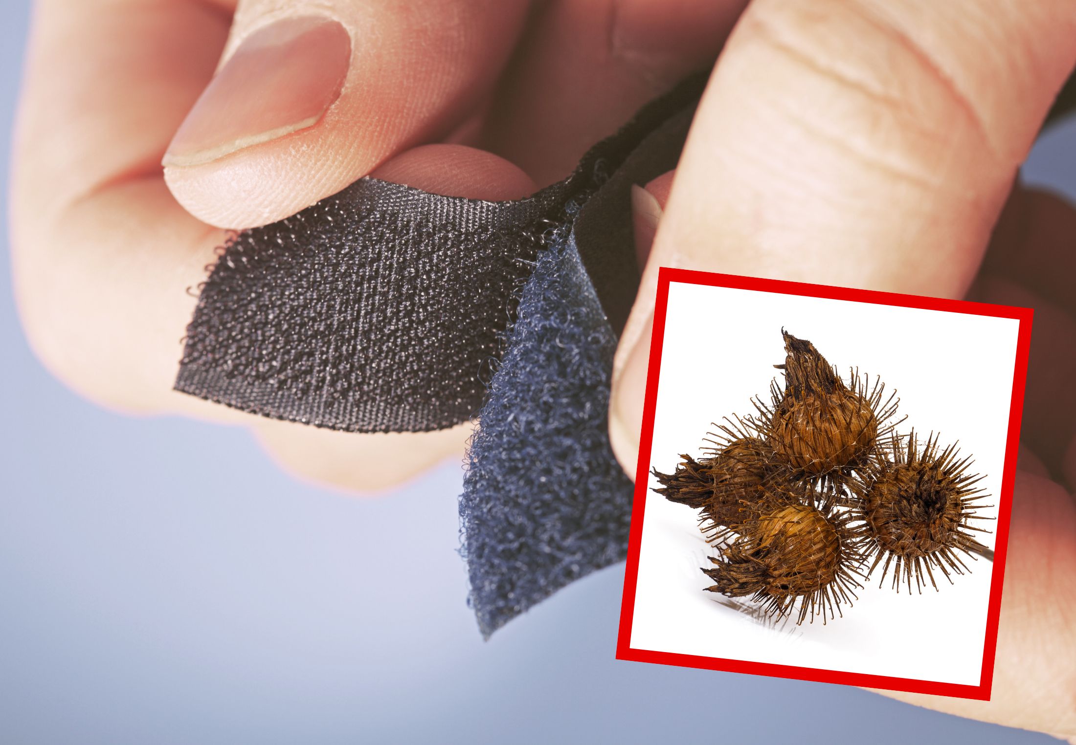 Dagelijks leven | Verhalen van alledag | historianet.nl