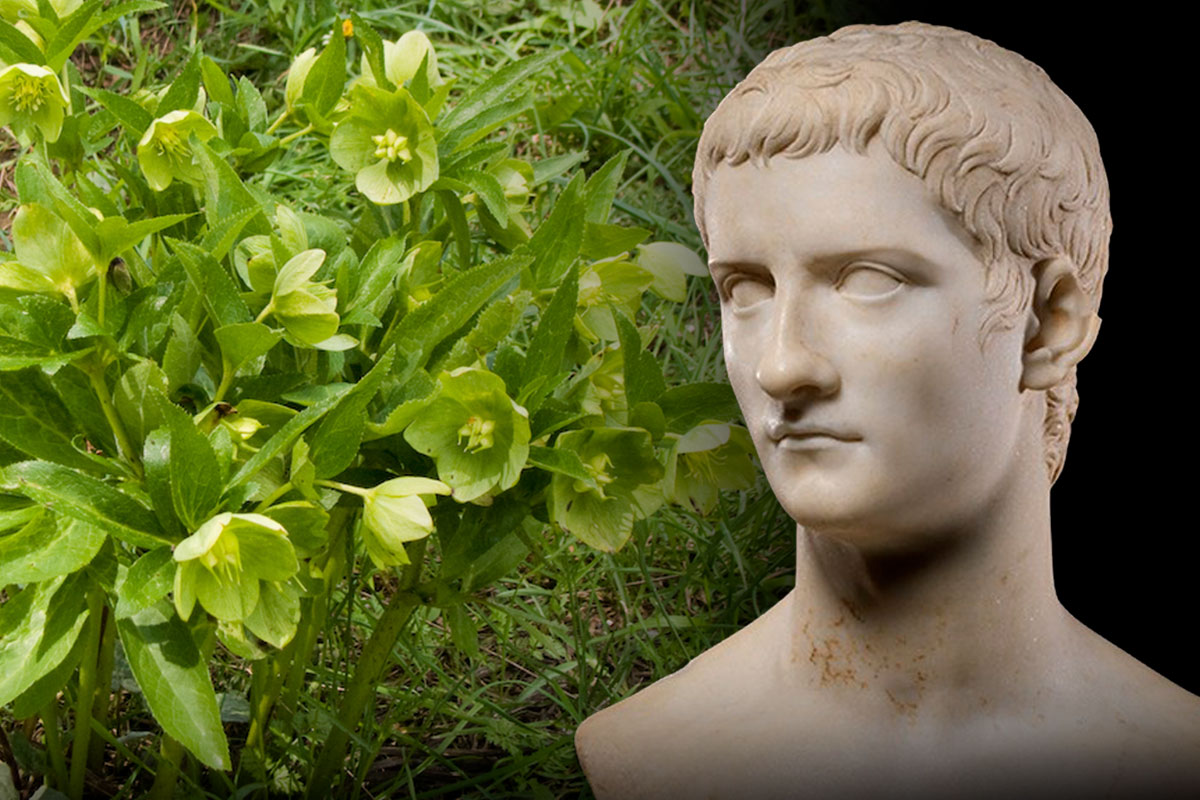 Romarriket – historiens största imperium | varldenshistoria.se