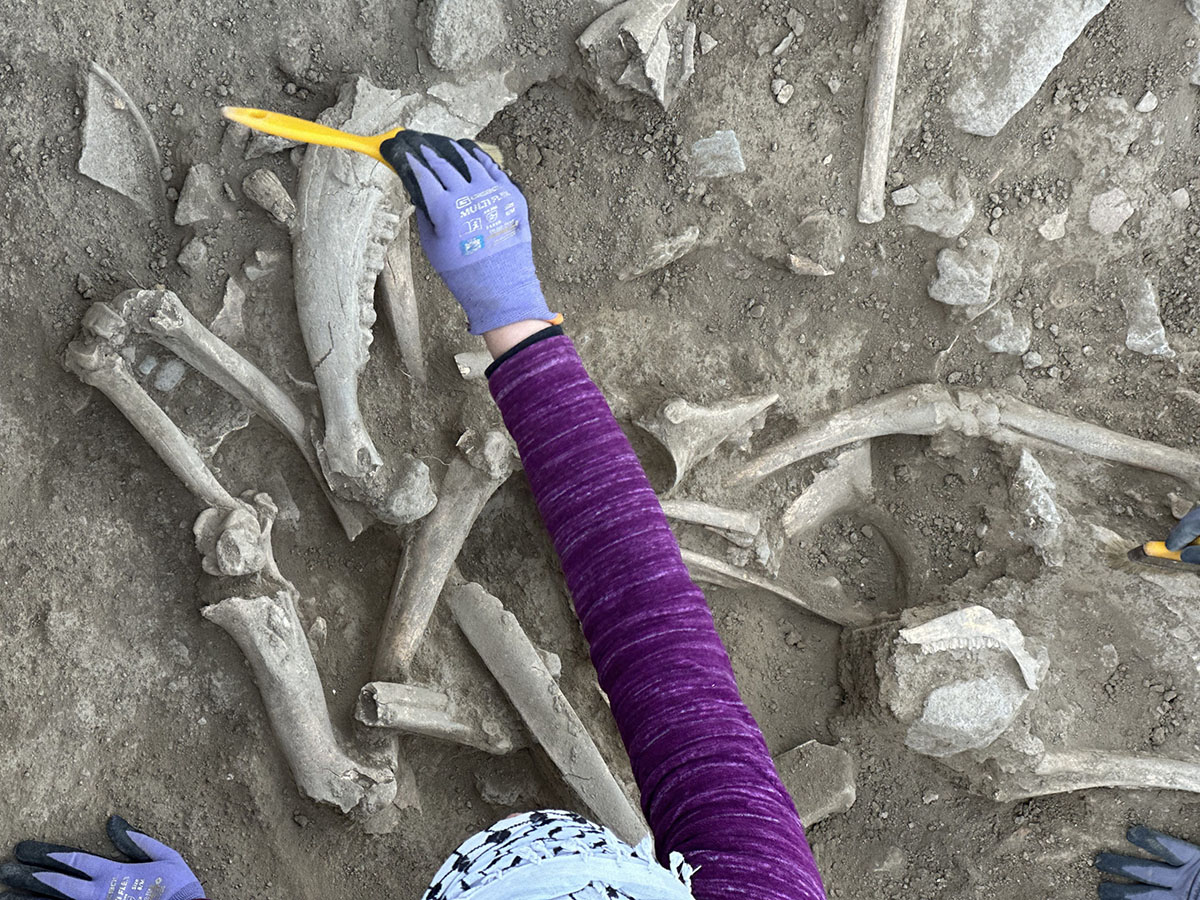 Kvarlevor av sju spädbarn funna på mystisk kultplats | varldenshistoria.se