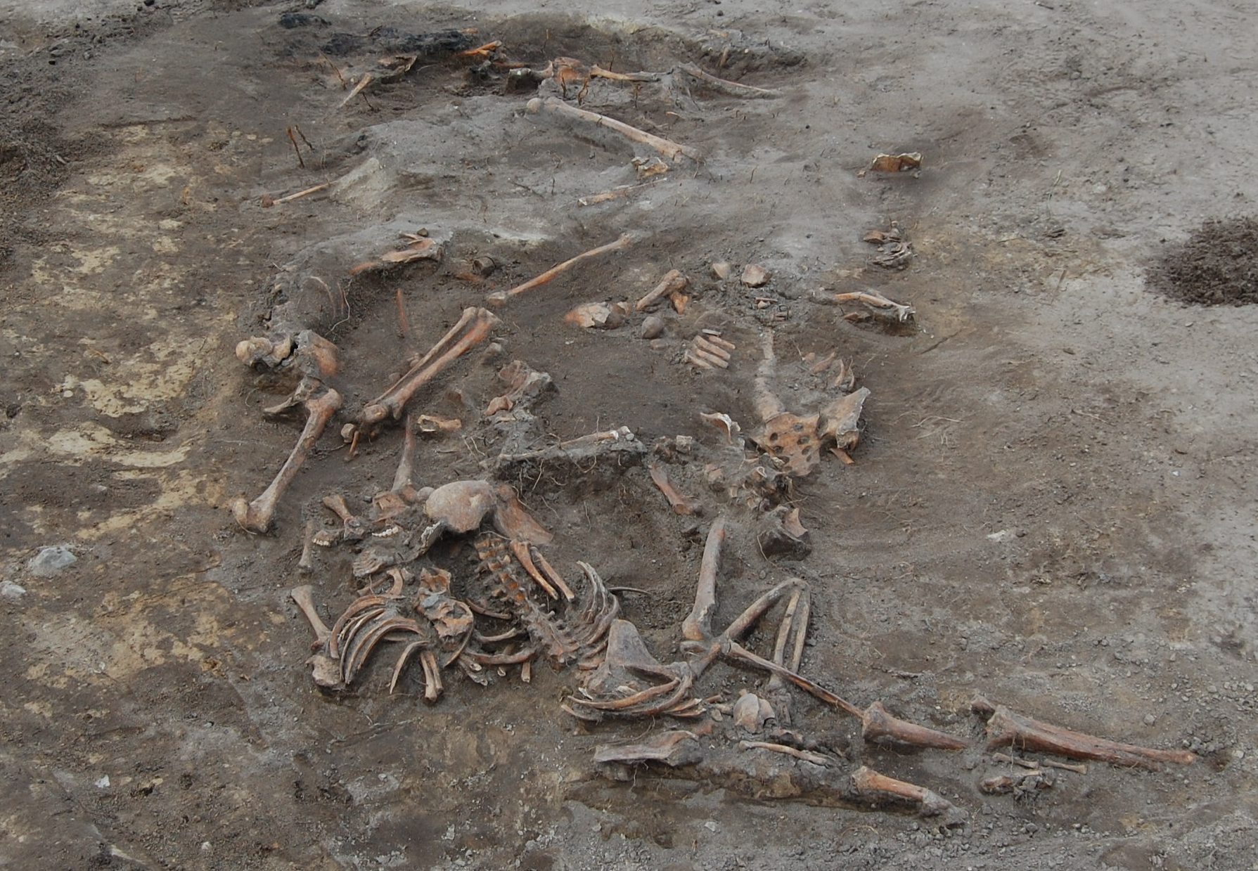Wat was het bloedbad van Wolynië? | historianet.nl