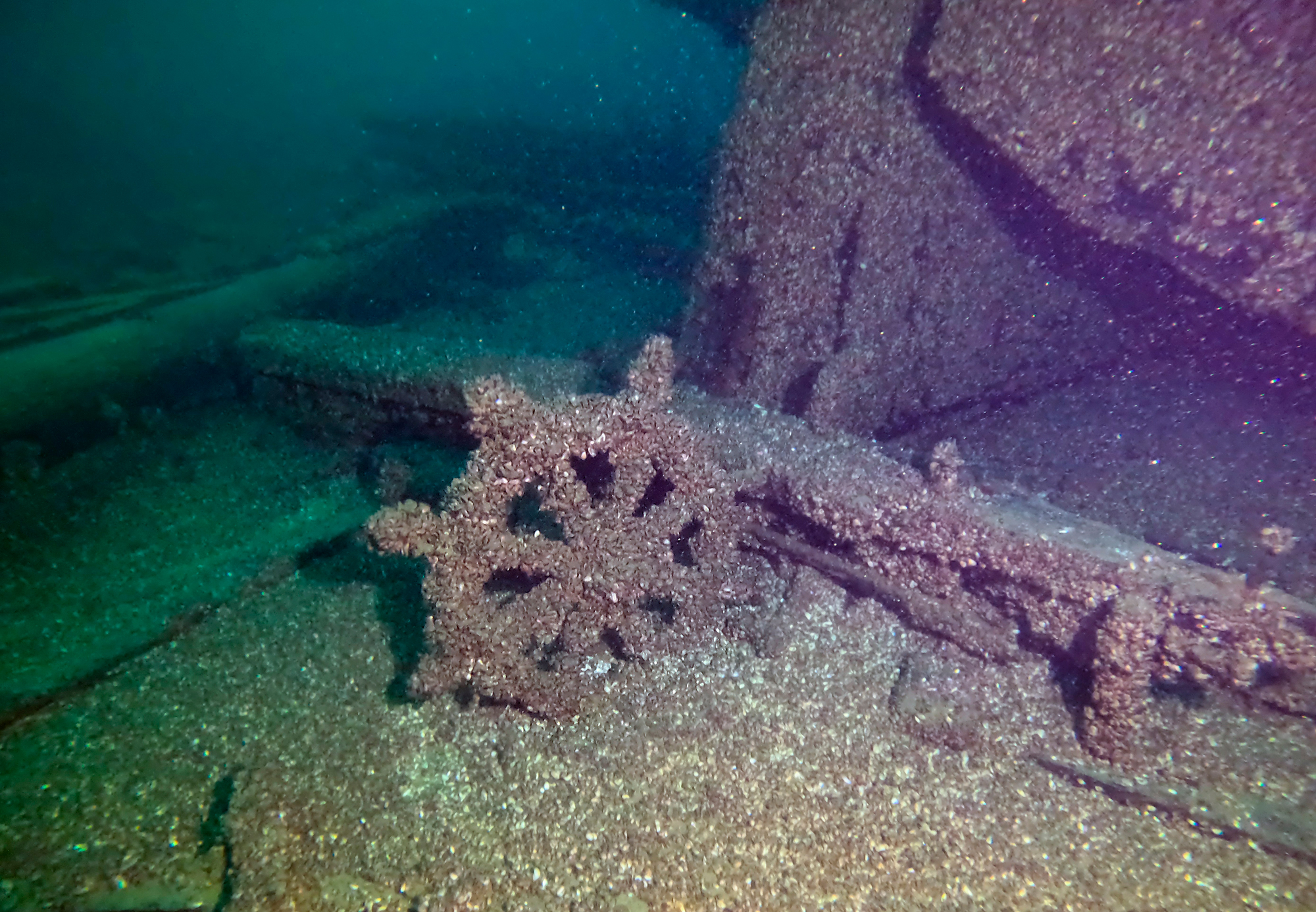 På oppdagelse i verdenshistoriens største dramaer | historienet.no