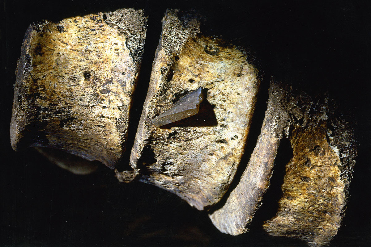 Arkæologer har opklaret 4.500 år gammel forbrydelse | historienet.dk