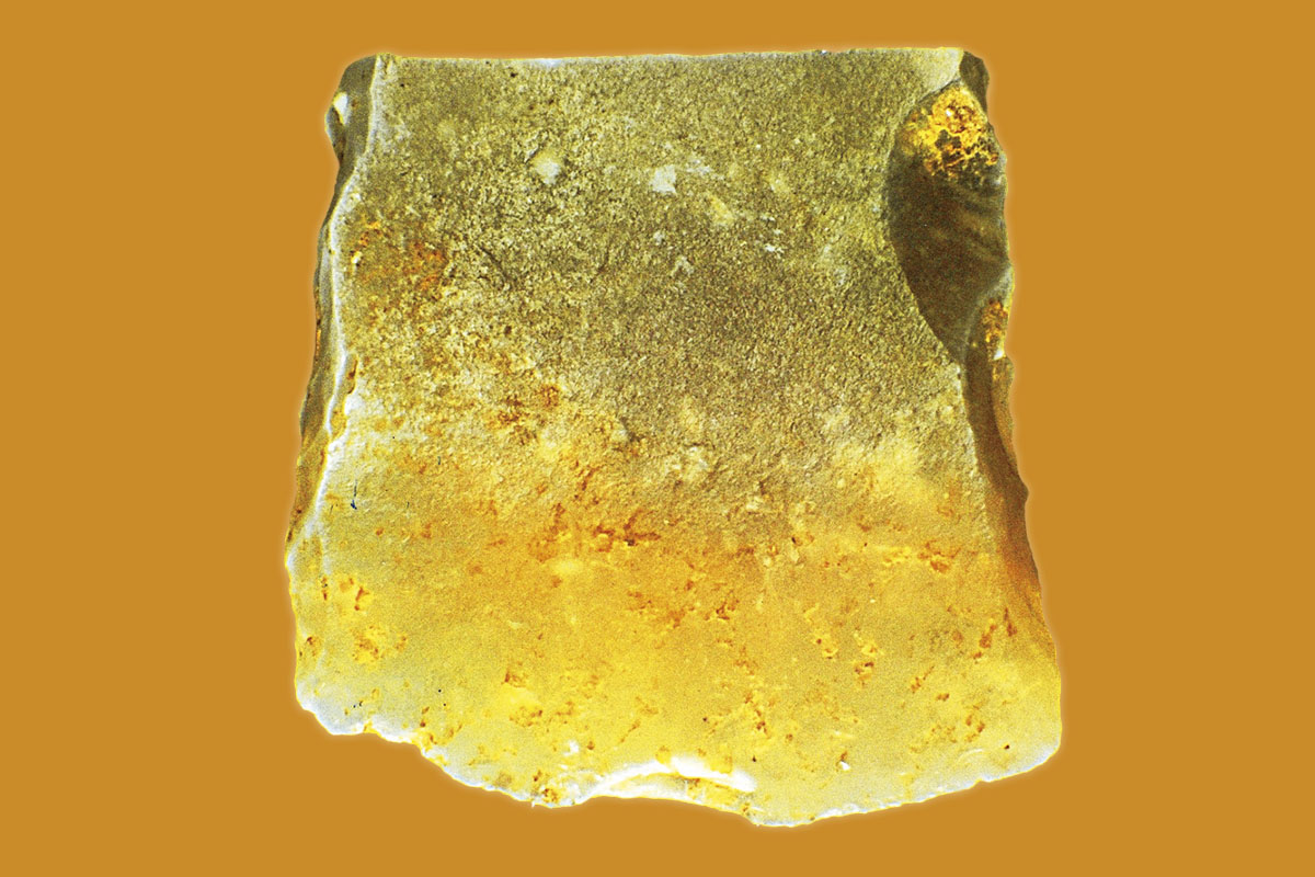 Arkæologer har opklaret 4.500 år gammel forbrydelse | historienet.dk