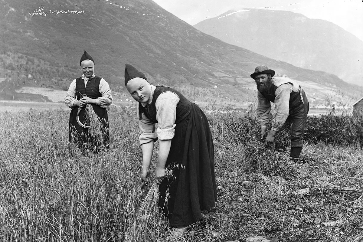 Glimt fra Nordens svunne tid: Da vi alle var bønder | historienet.no