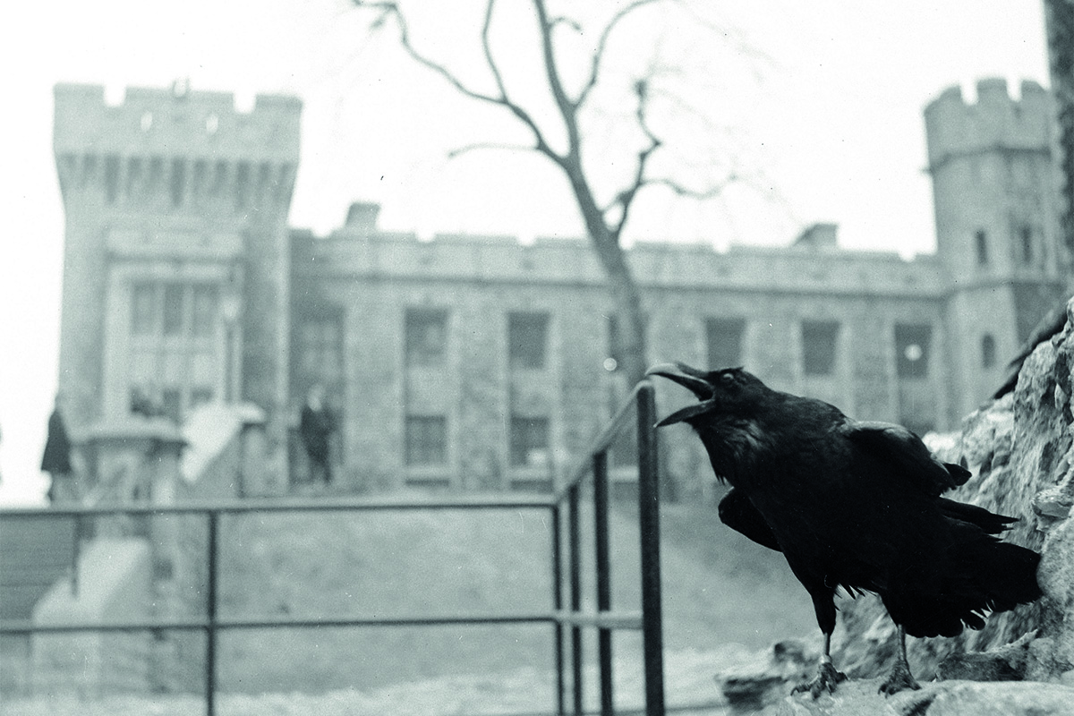 Englannin verinen historia on kirjattu Lontoon Towerin muureihin ...