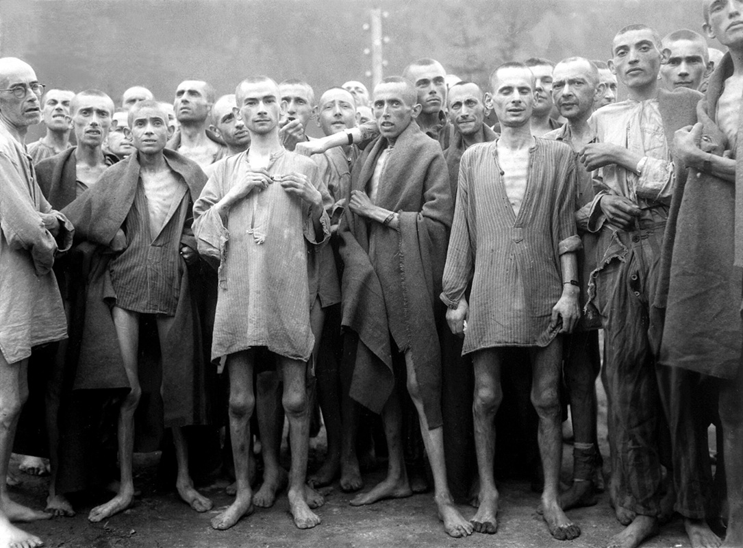 Auschwitz-overlever må sagsøge forlag for at skrive “polsk ...