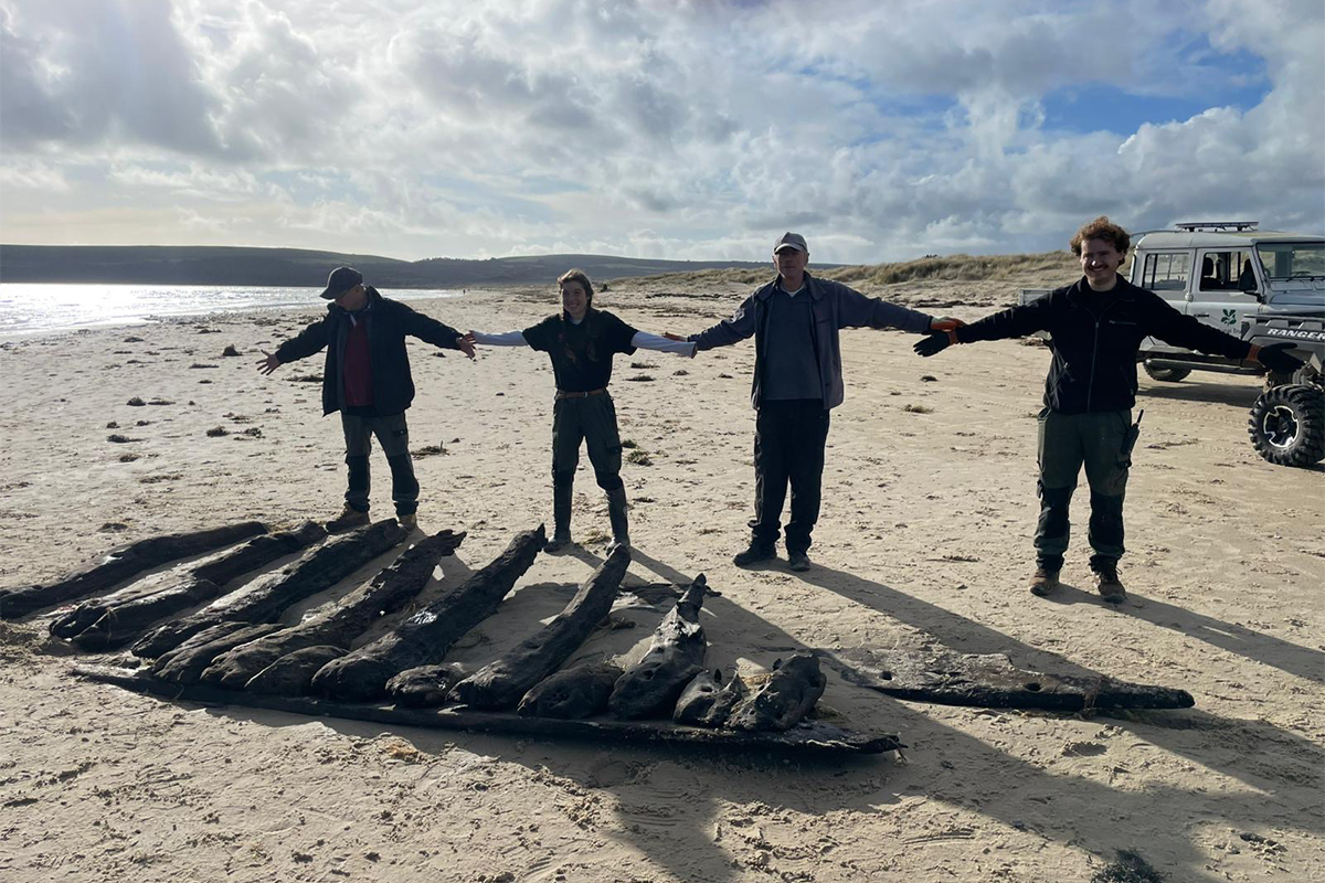 Skibsvrag dukker op på stranden efter vinterstorm: “Det er virkelig ...