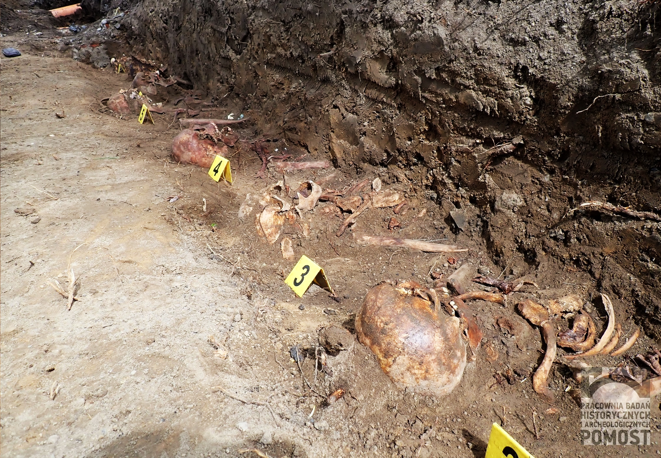 Poolse archeologen vinden massagraf uit de Tweede Wereldoorlog – met ...