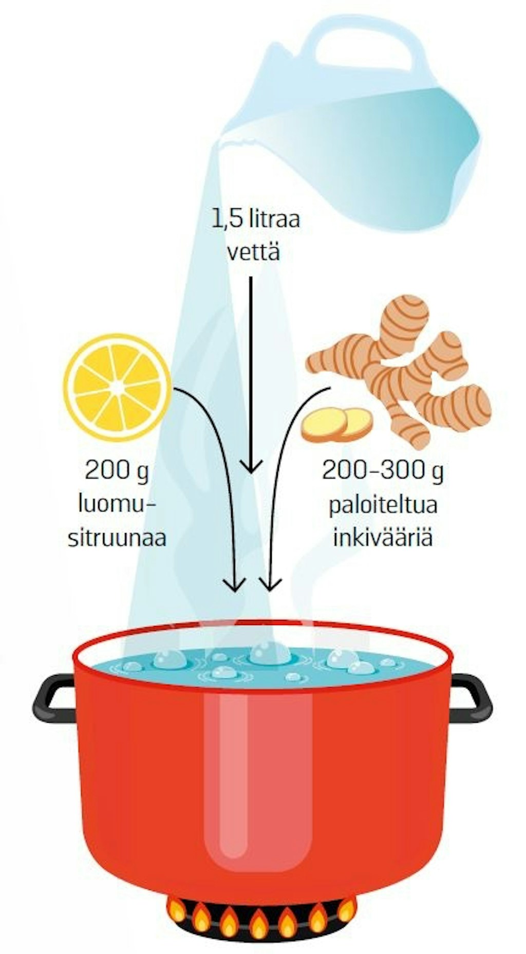 Inkiväärishotti – 8 parasta superterveellistä inkiväärishottiohjetta ...