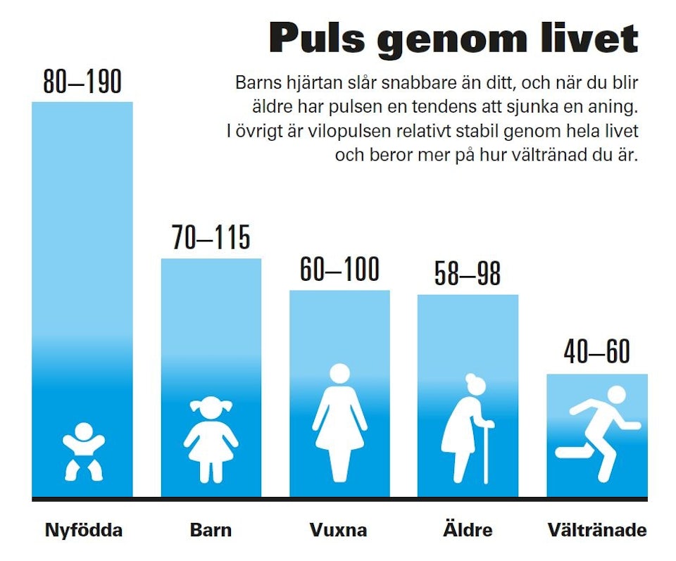 Puls – det avslöjar din puls om din form och hälsa | I FORM