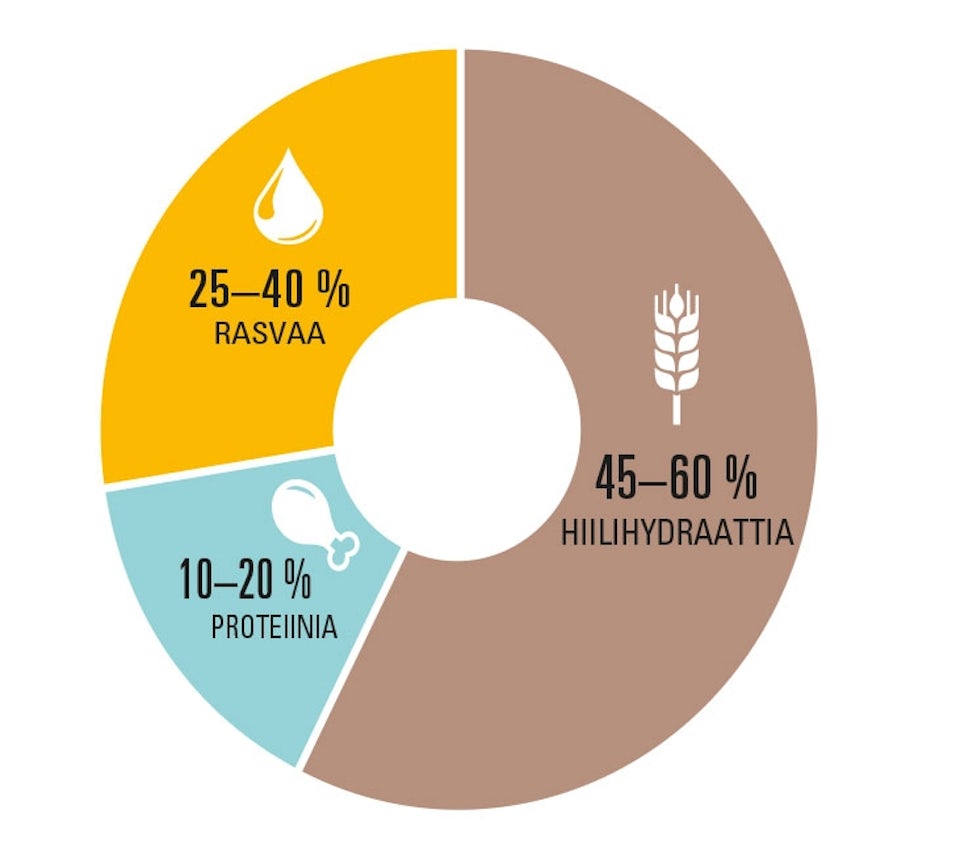 Proteiini – kuinka paljon tarvitset | KUNTO PLUS