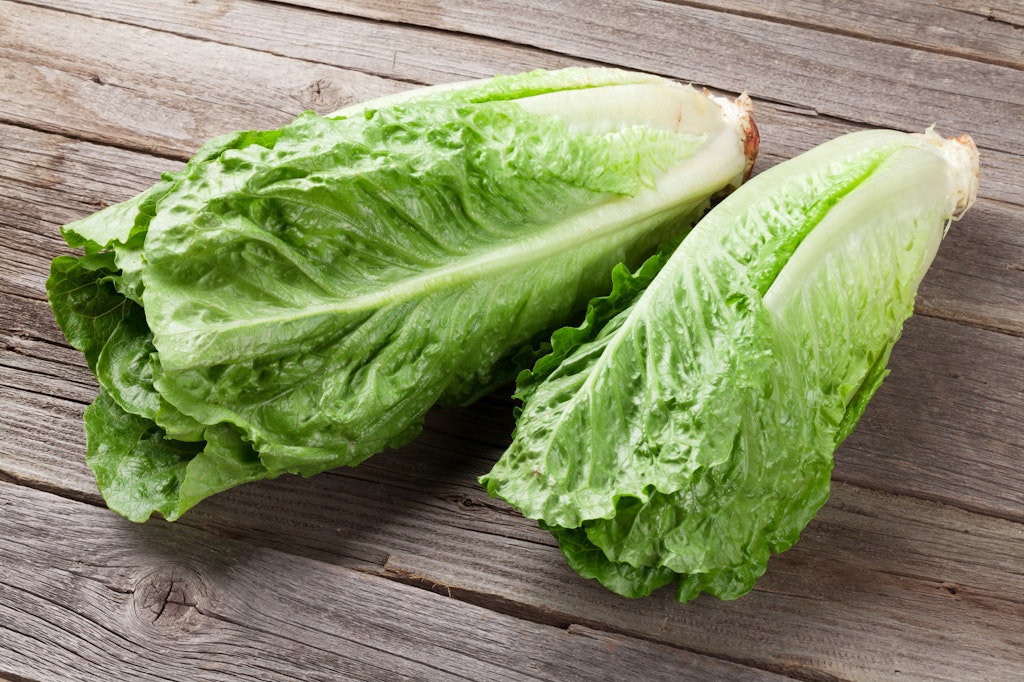 7 nyttiga sallader | I FORM