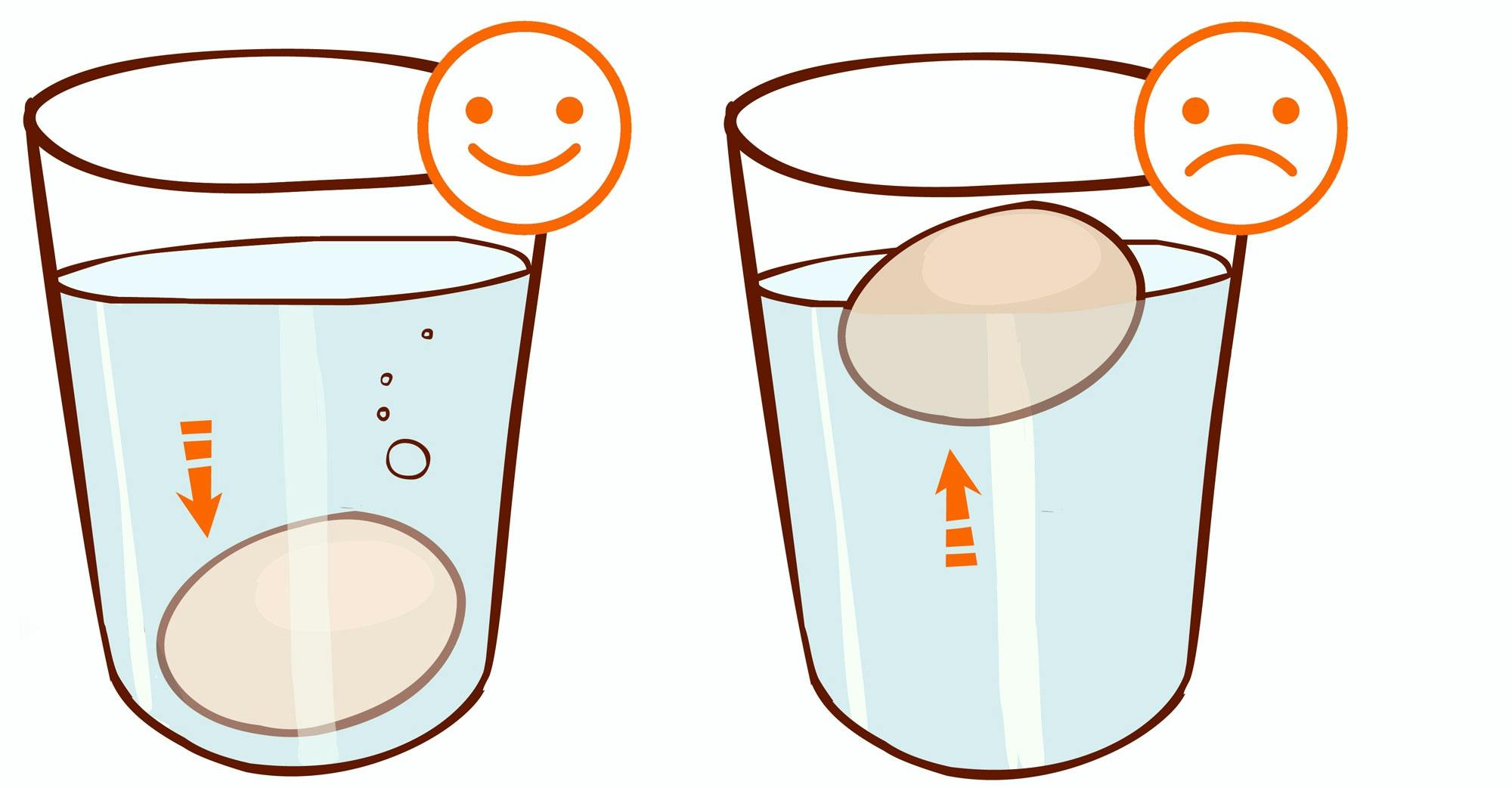 Egg – hvor sunn er egentlig den proteinrike matvaren? | iform.nu