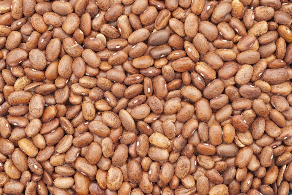 Bønner – tjek vores store guide til 12 sunde bønner | I FORM