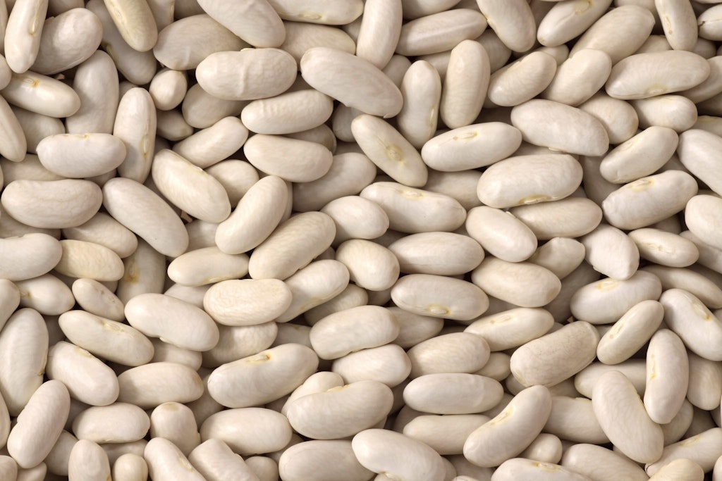 Bønner – tjek vores store guide til 12 sunde bønner | I FORM