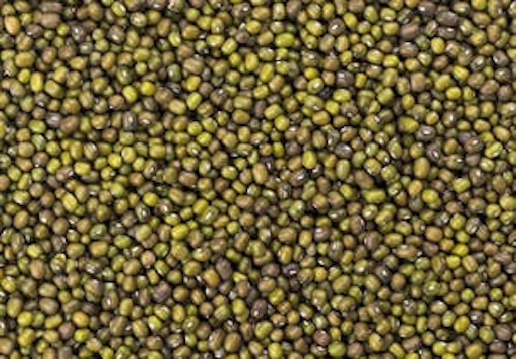 Pavut – esittelyssä 12 terveellistä eri lajia | KUNTO PLUS