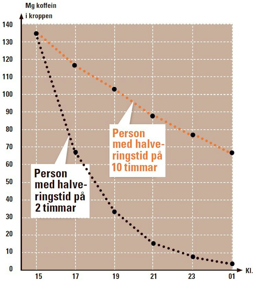 Hur påverkar koffein kroppen? | I FORM