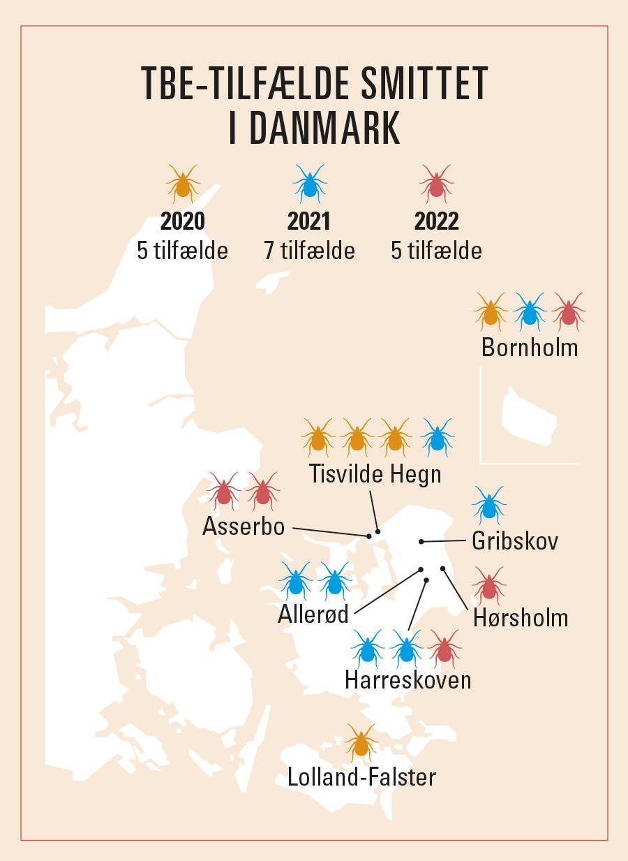 TBE – her er symptomerne, du skal reagere på | iform.dk