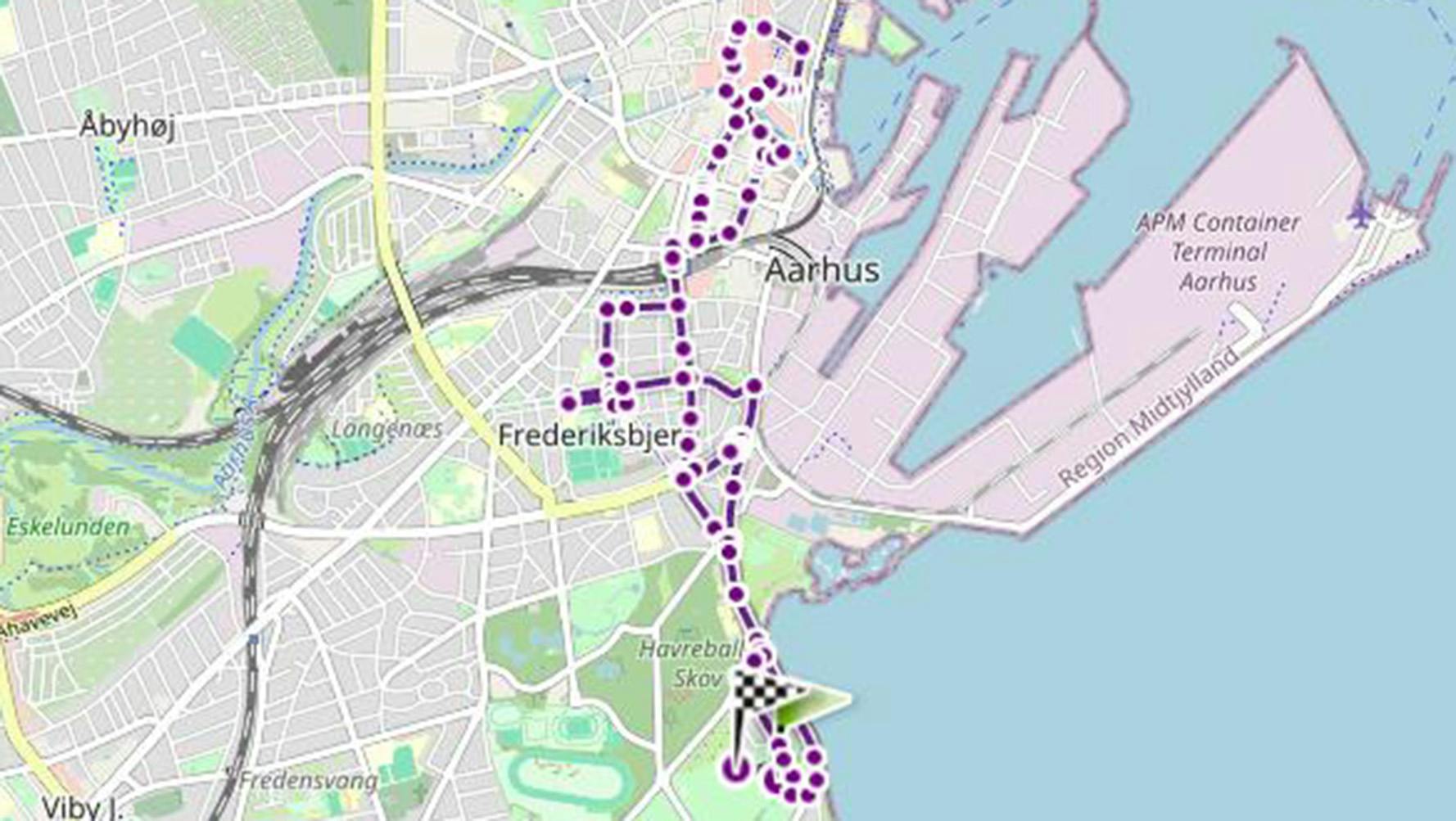 Royal Run 2025 – her løber de kongelige med | iform.dk