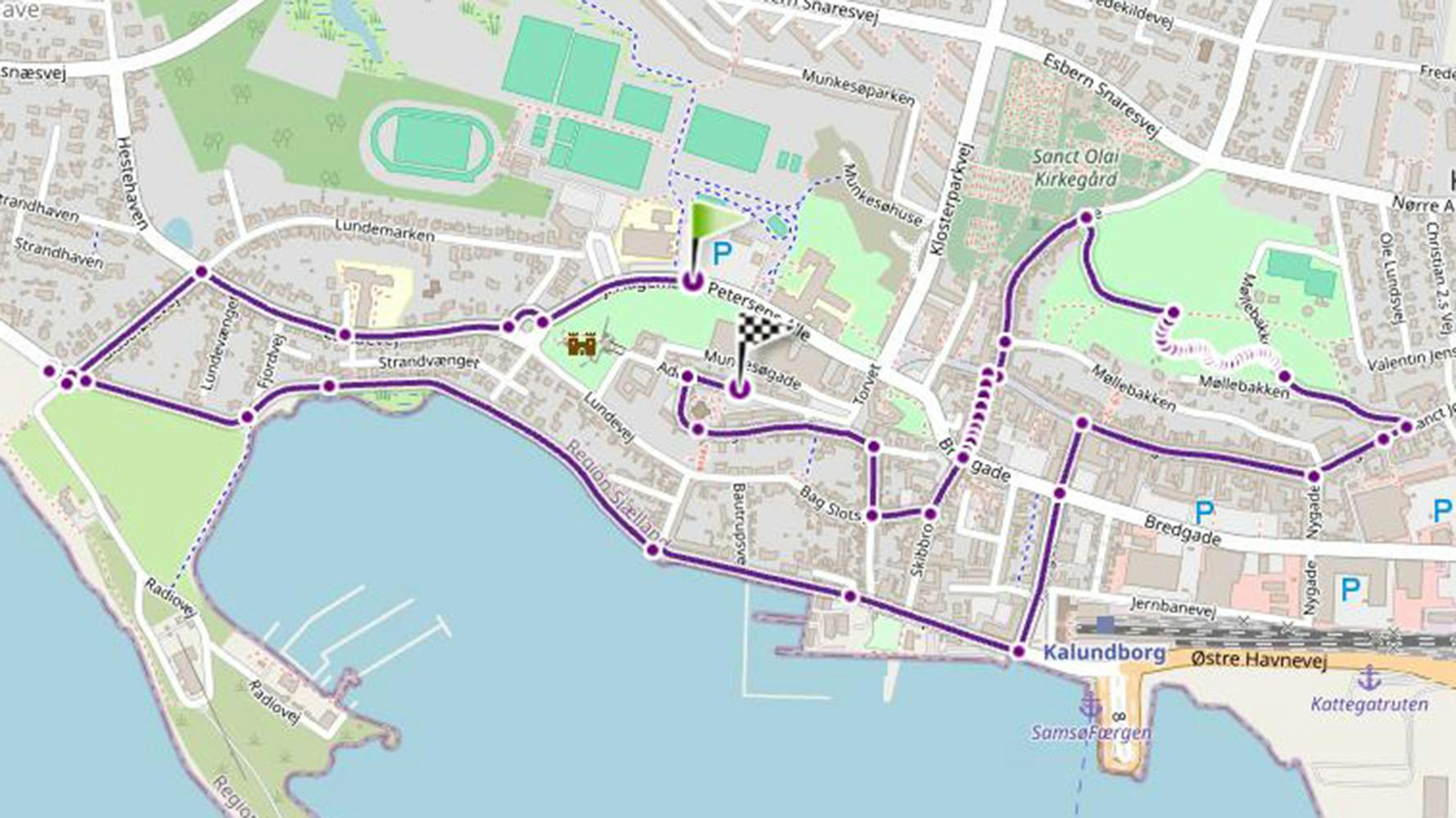 Royal Run 2025 – her løber de kongelige med | iform.dk