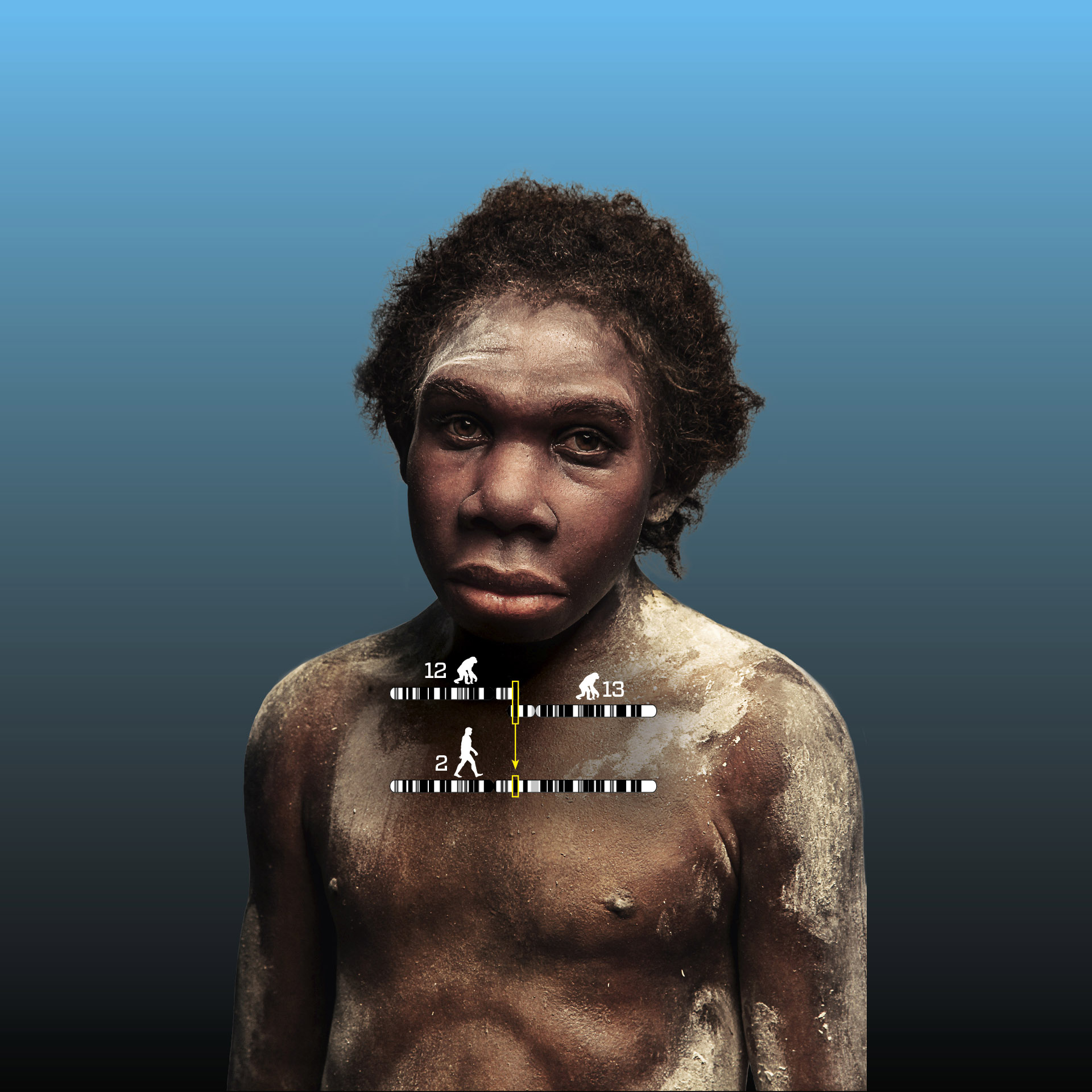 Arten vår er formet av katastrofer: Vi er best i motvind | illvit.no