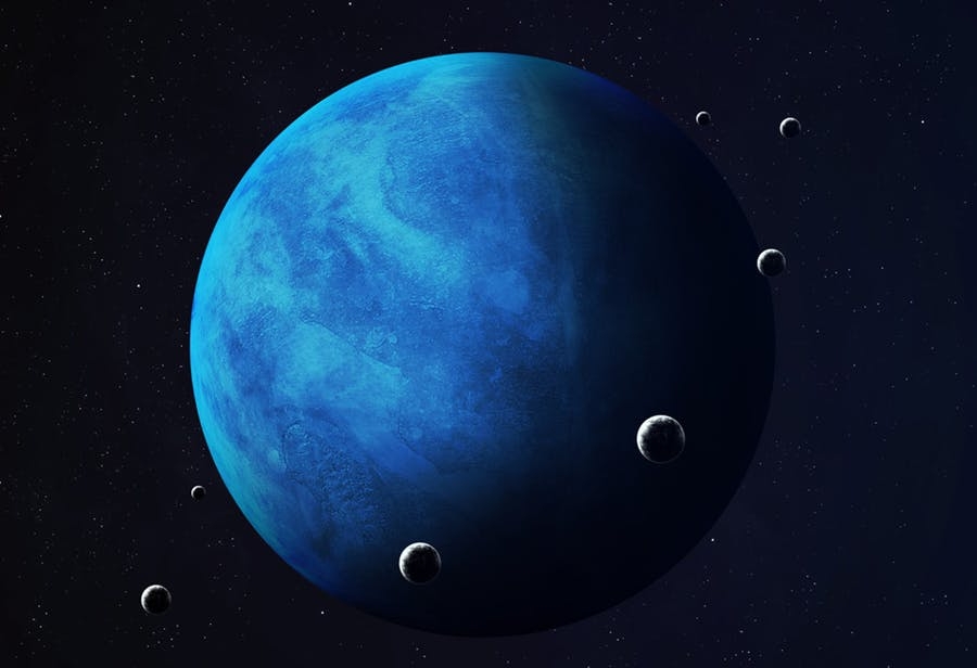 Neptunus | wibnet.nl