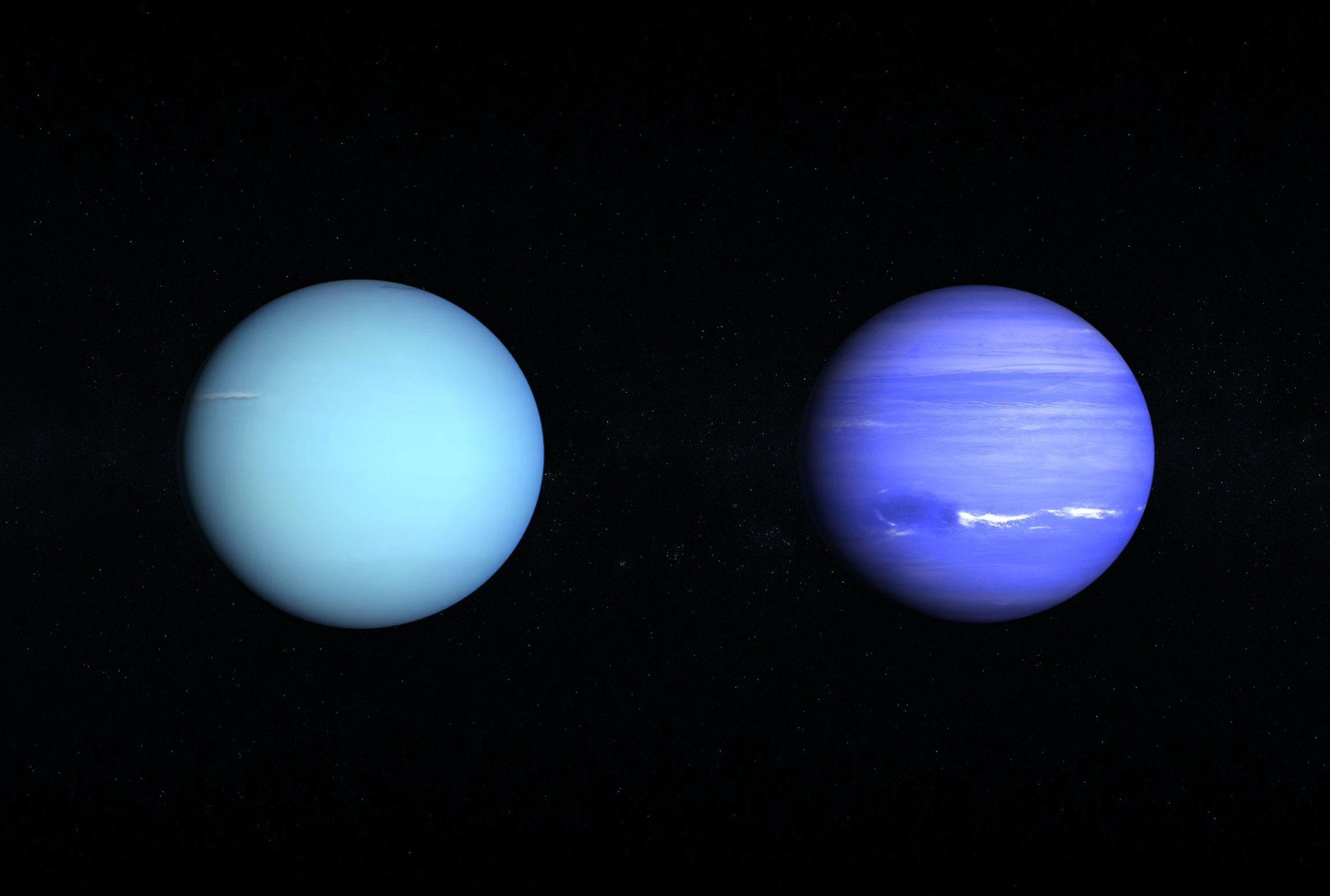 Neptunus | wibnet.nl