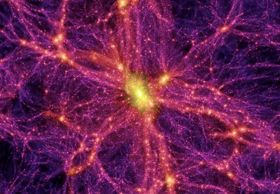 Universum | illvet.se