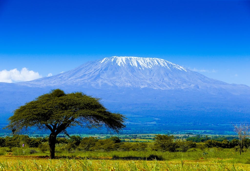 Vulkaner – Her er verdens farlige vulkaner | illvid.dk