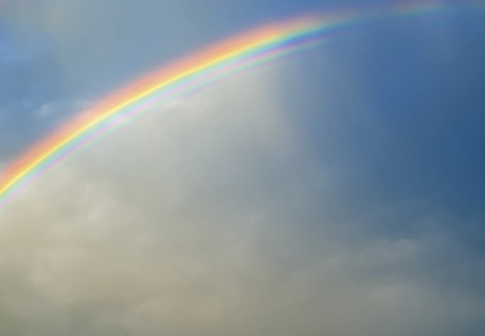 Regenbogen zijn er in soorten en maten | wibnet.nl