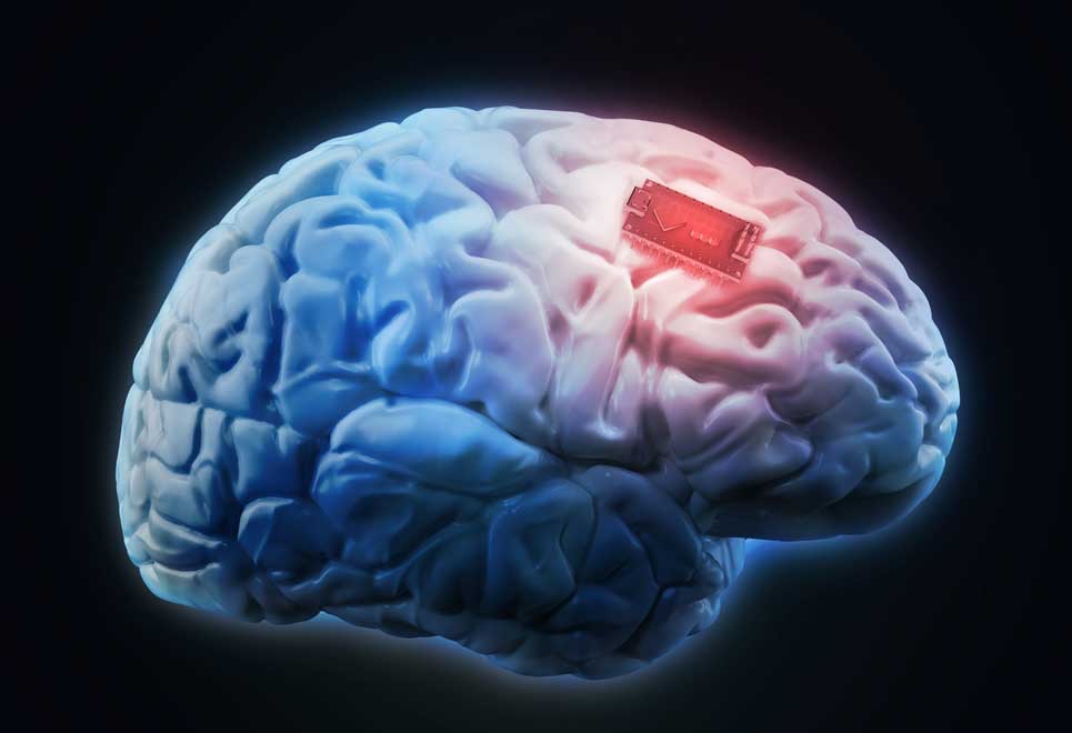 Muisti – Näin muistisi toimii | tieku.fi