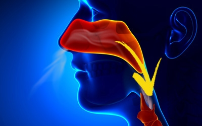 Snor - kroppens slemmiga försvar | illvet.se