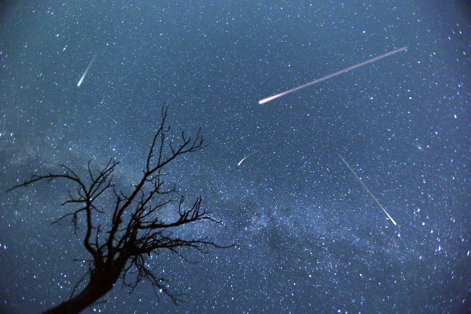 Hvad er forskellen på en meteor og en meteorit? | illvid.dk