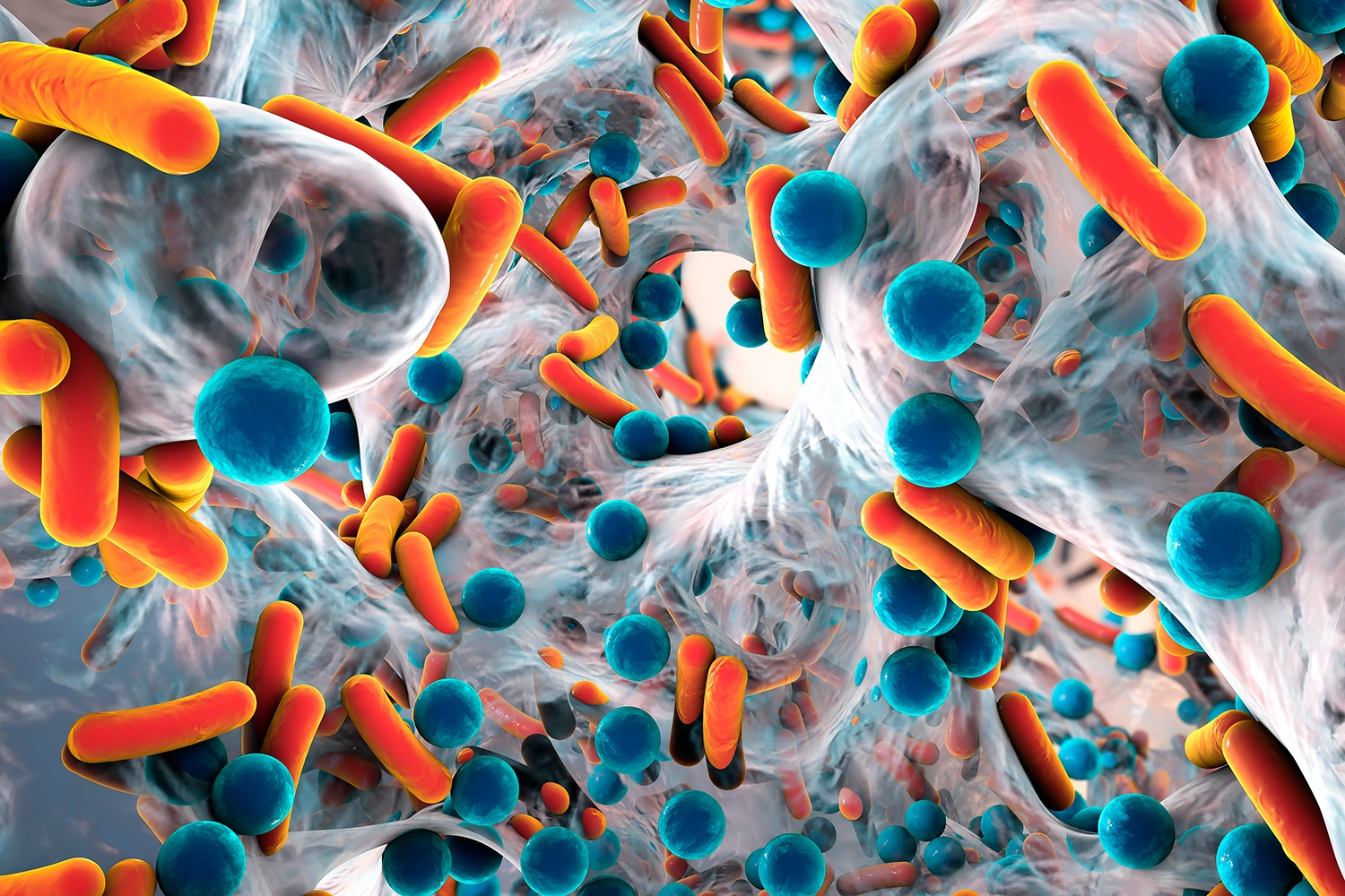 Multiresistenta bakterier: Så farliga är de | illvet.se