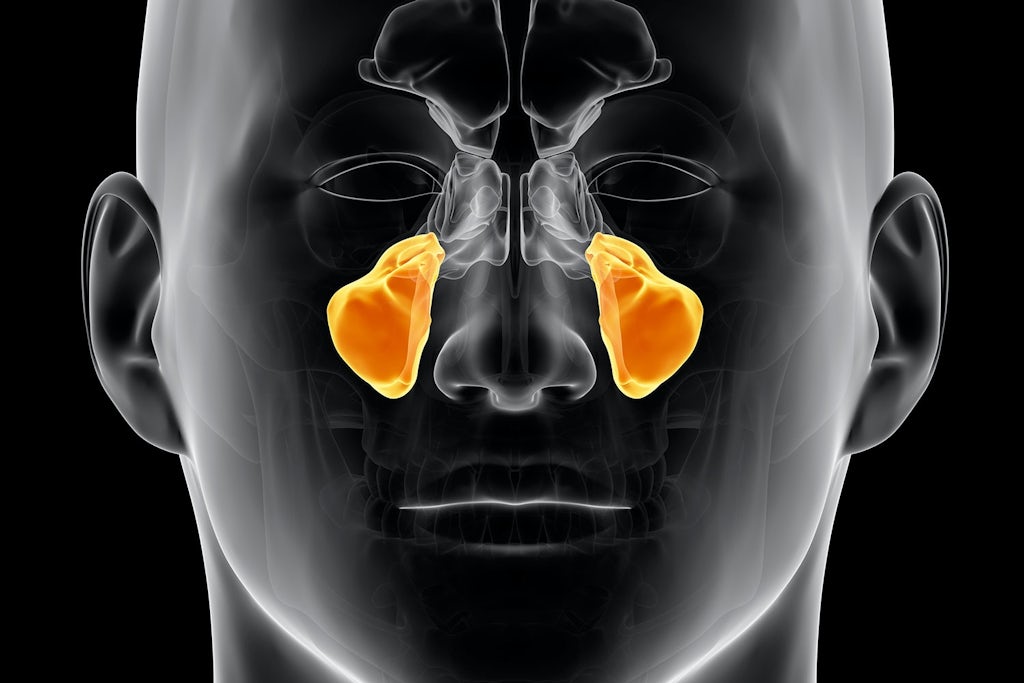 10 dingen aan je lijf die nergens op slaan | wibnet.nl