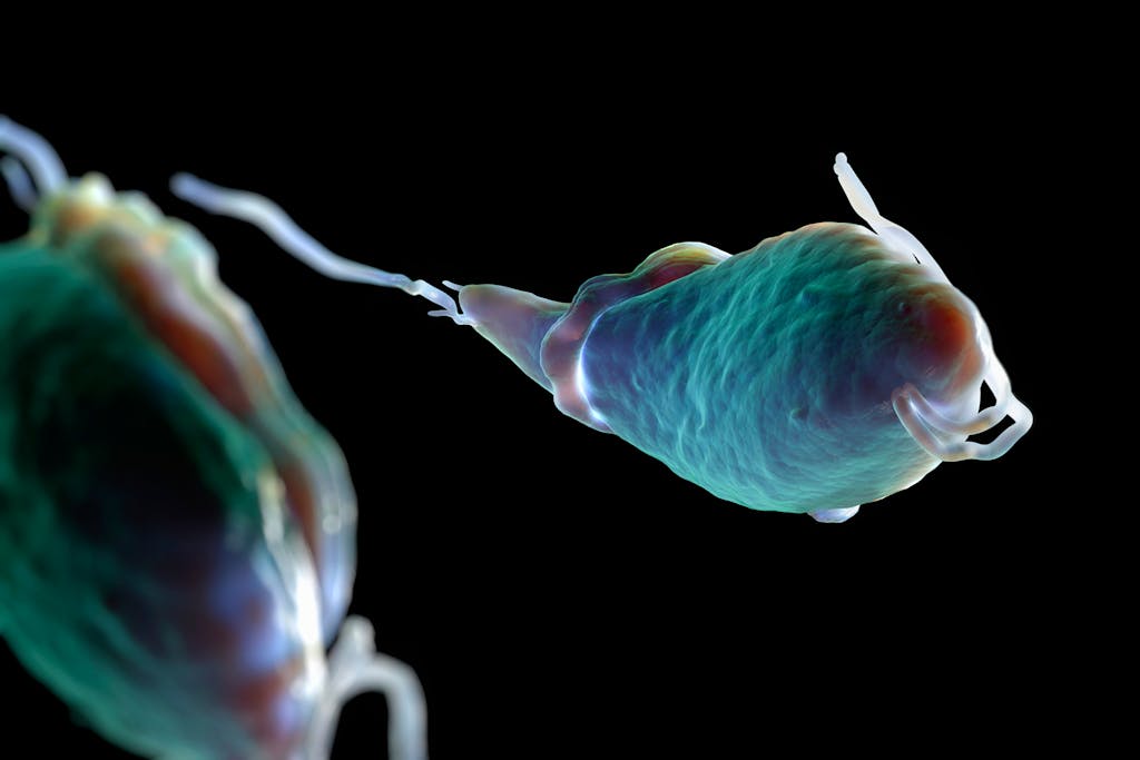 7 parasites that feed on your body | scienceillustrated.com