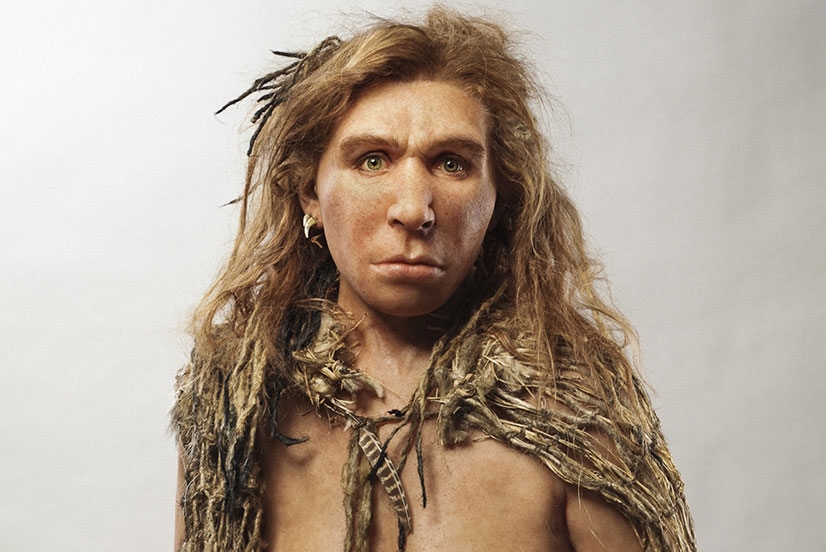 Vi er meget mere neandertaler, end vi tror | illvid.dk