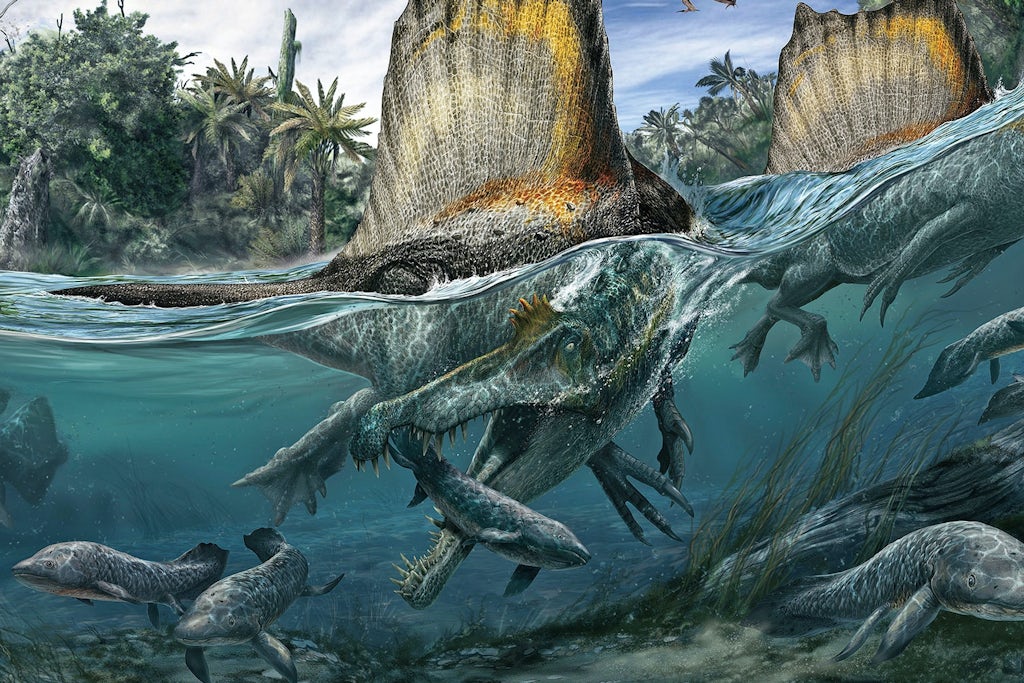 Dinosaur | Fakta om fortidens kæmper | illvid.dk